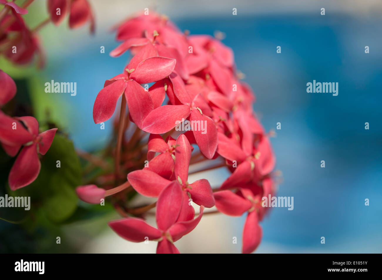 Batu Feringgi Beach, Penang Island, Malaysia, South East Asia Stock ...