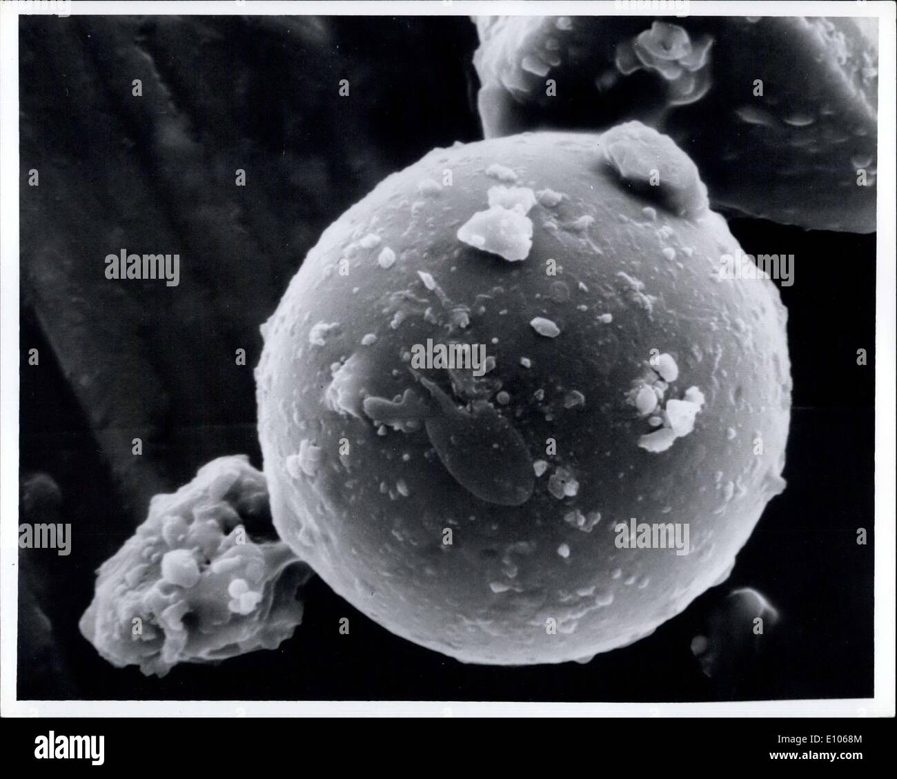 Glassy spherule hi-res stock photography and images - Alamy