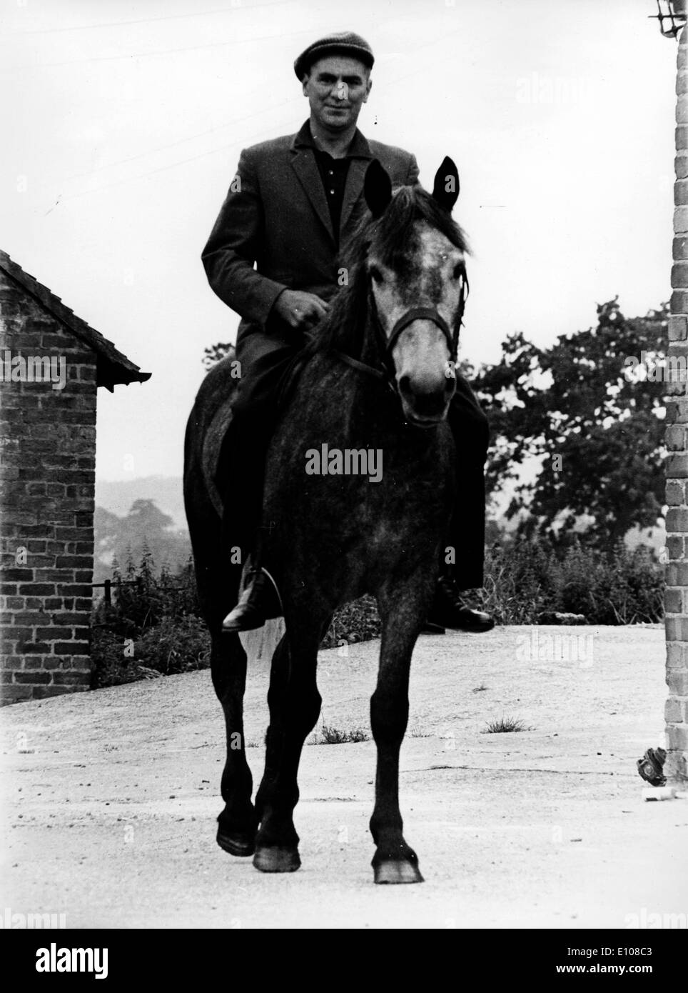 Brookshaw hi-res stock photography and images - Alamy