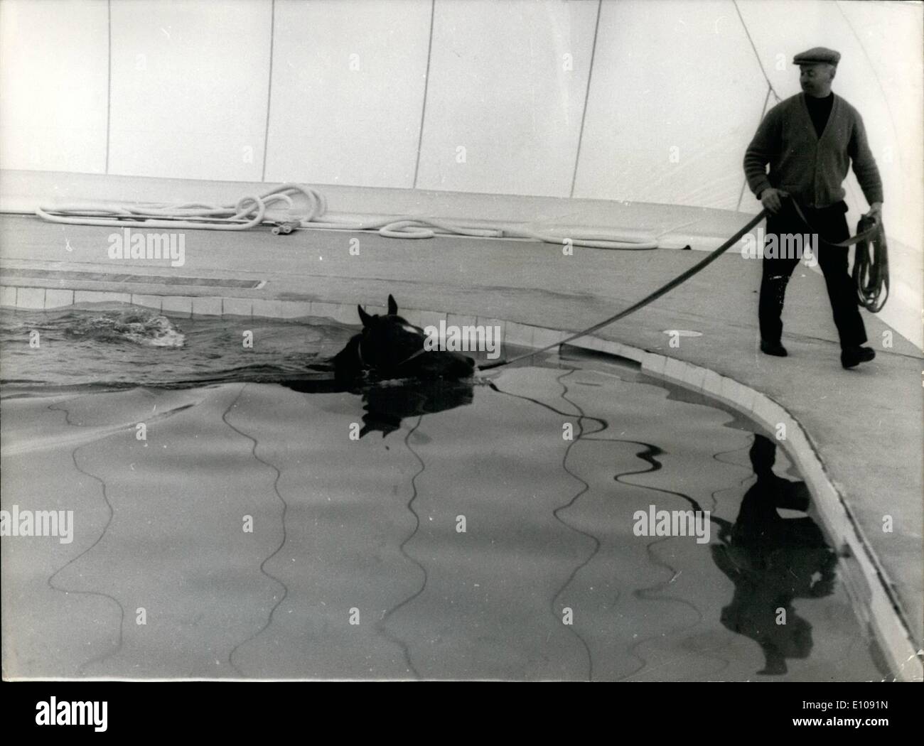 David wildenstein hi-res stock photography and images - Alamy