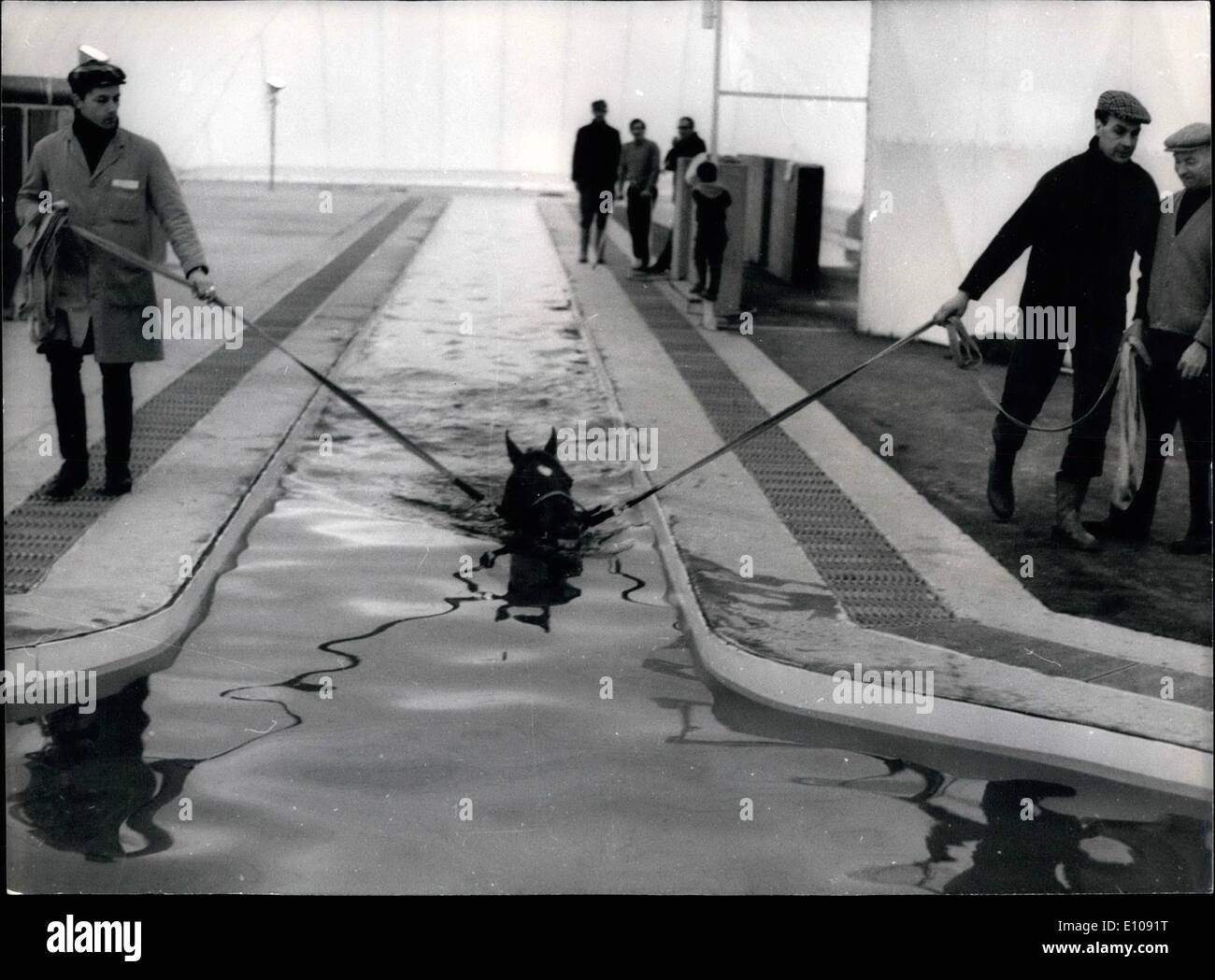 Mar. 03, 1970 - Swimming Pool for French Horses- Unique in Europe ...
