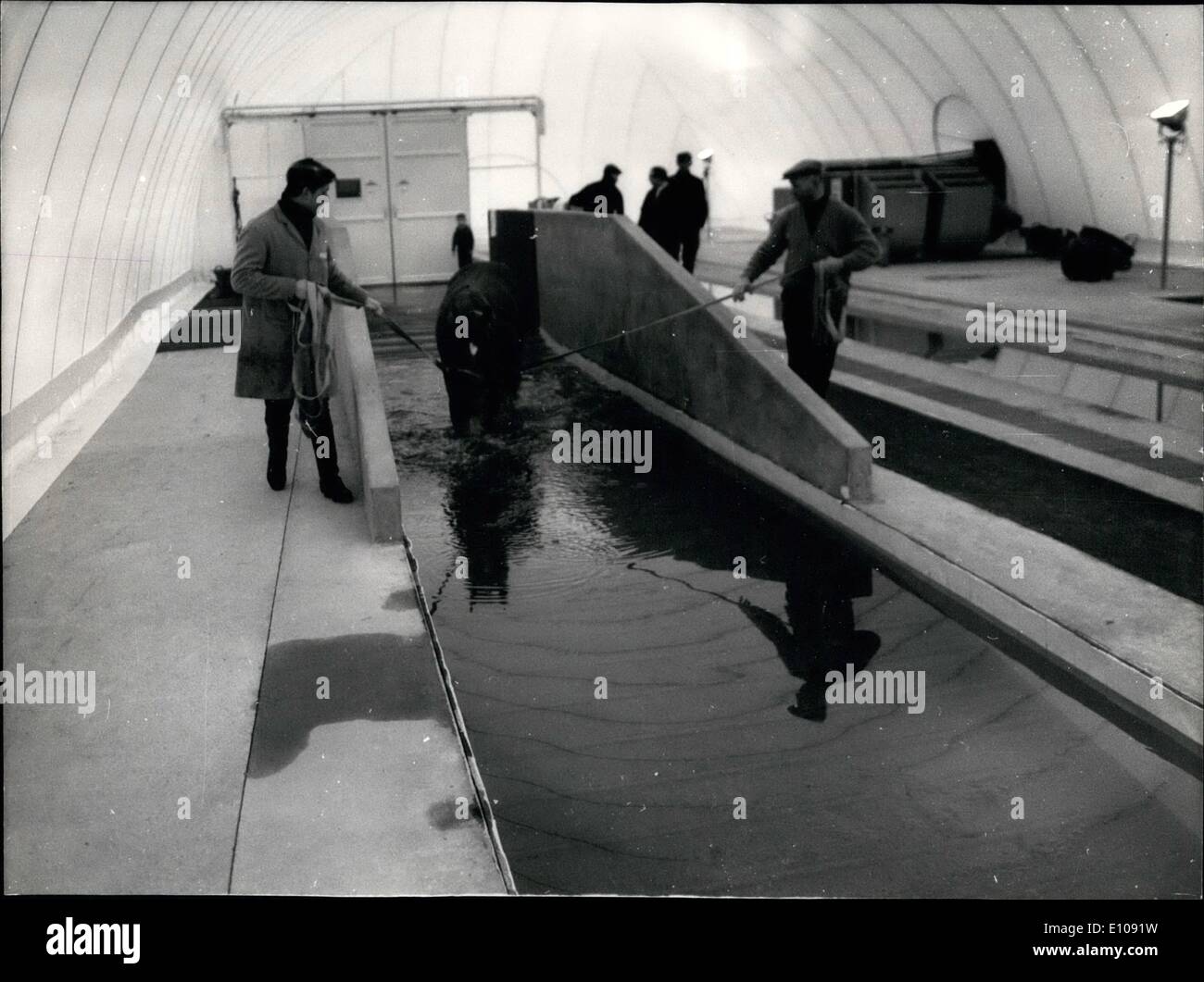 Mar. 03, 1970 - Swimming Pool for French Horses- Unique in Europe ...