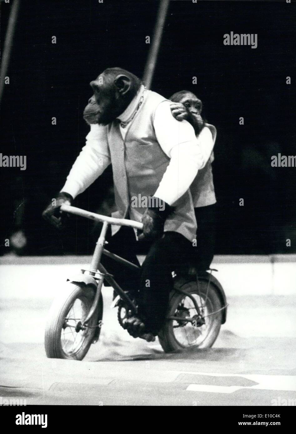Mar. 28, 1972 - Chimpanzees of Jean Richard Circus Trained by Willy ...