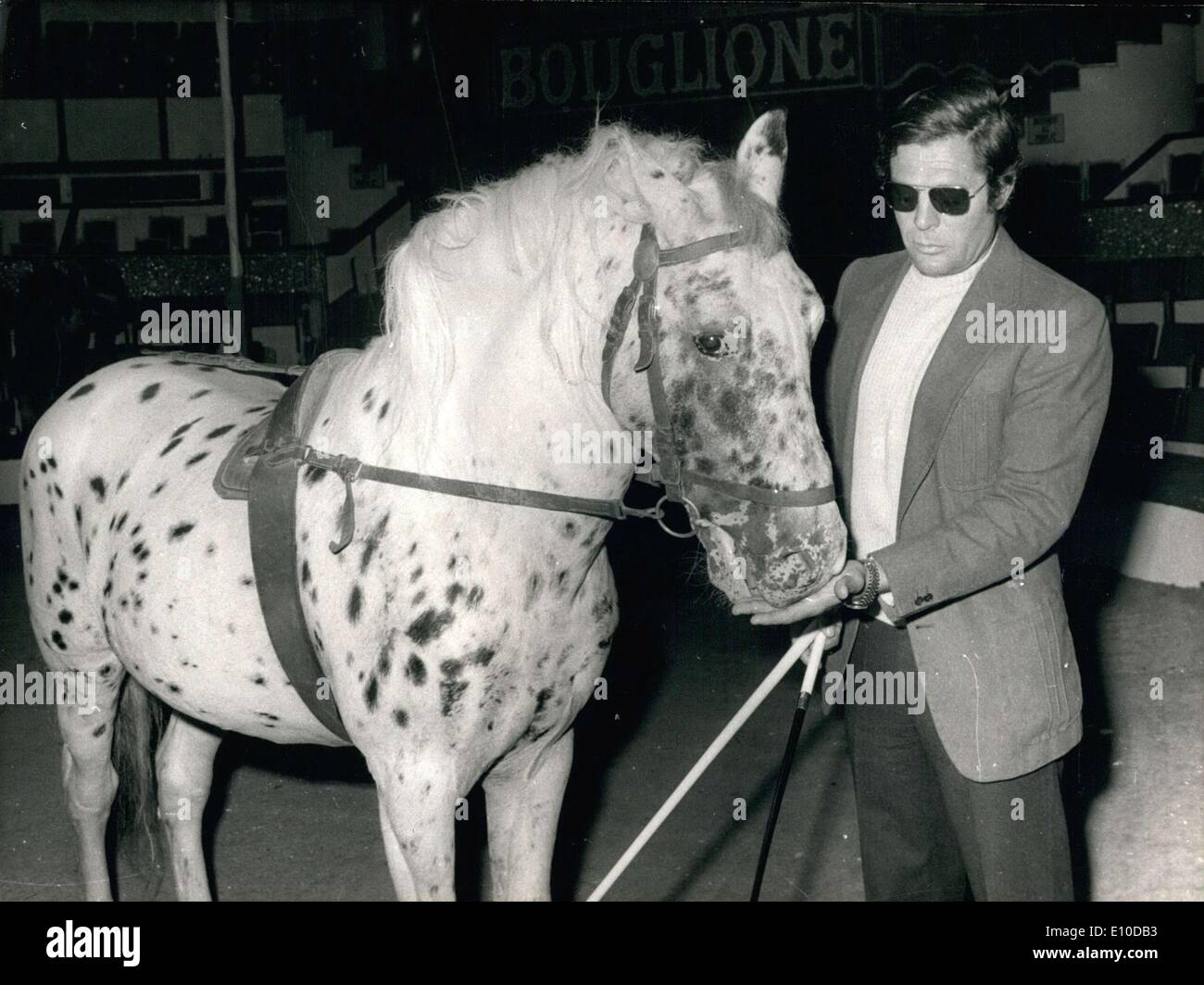 Apr. 25, 1972 - Marcello Mastroianni Giving Sugar to a Dressage Horse ...