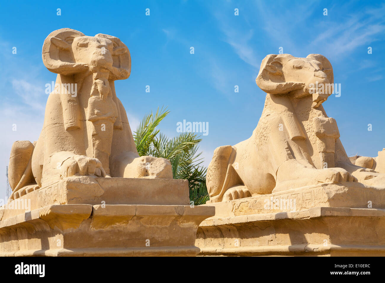 Sphinxes. Luxor, Egypt Stock Photo - Alamy