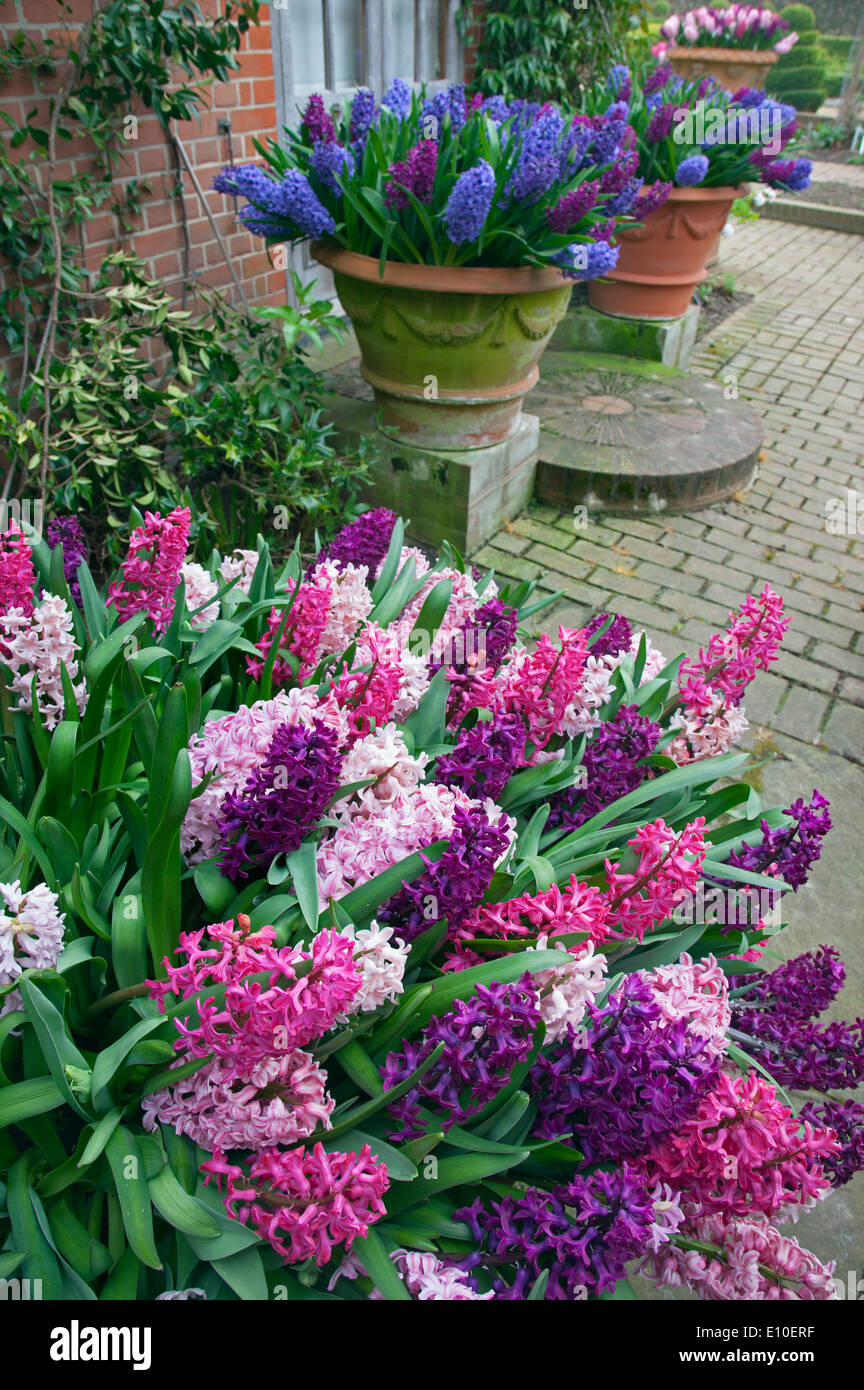 Spring planning hi-res stock photography and images - Alamy