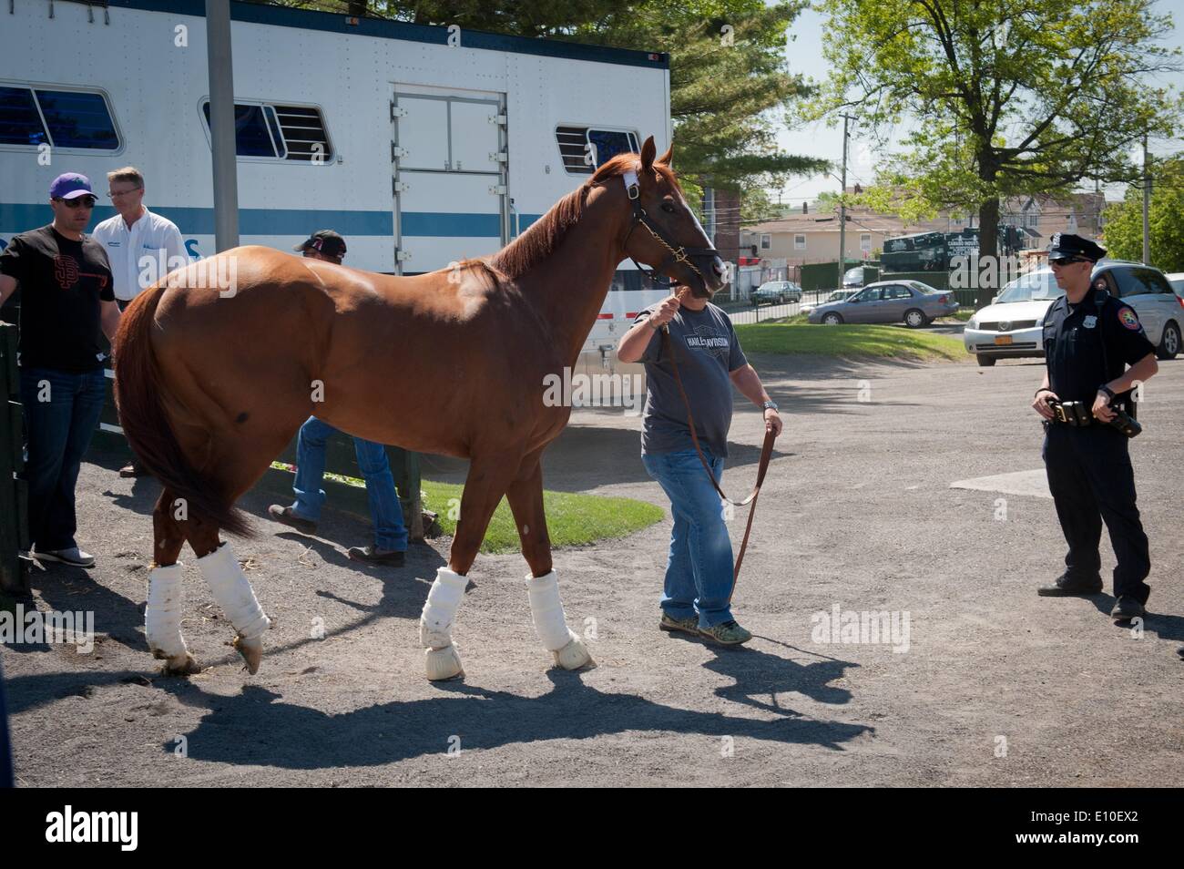 Belmont Park, New York, USA. 20th May, 2014. Assistant trainer Alan ...