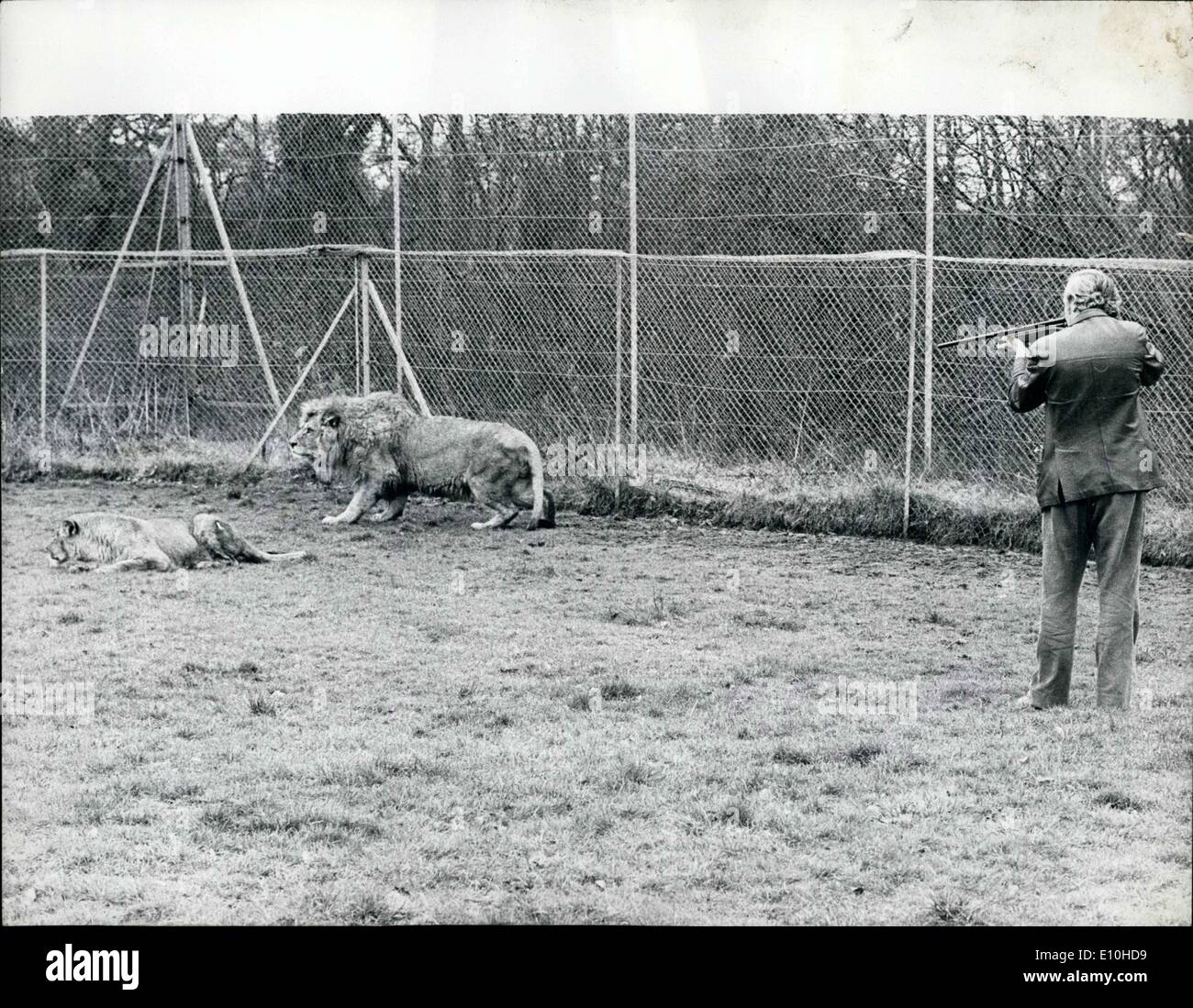 Windsor safari park hi-res stock photography and images - Alamy