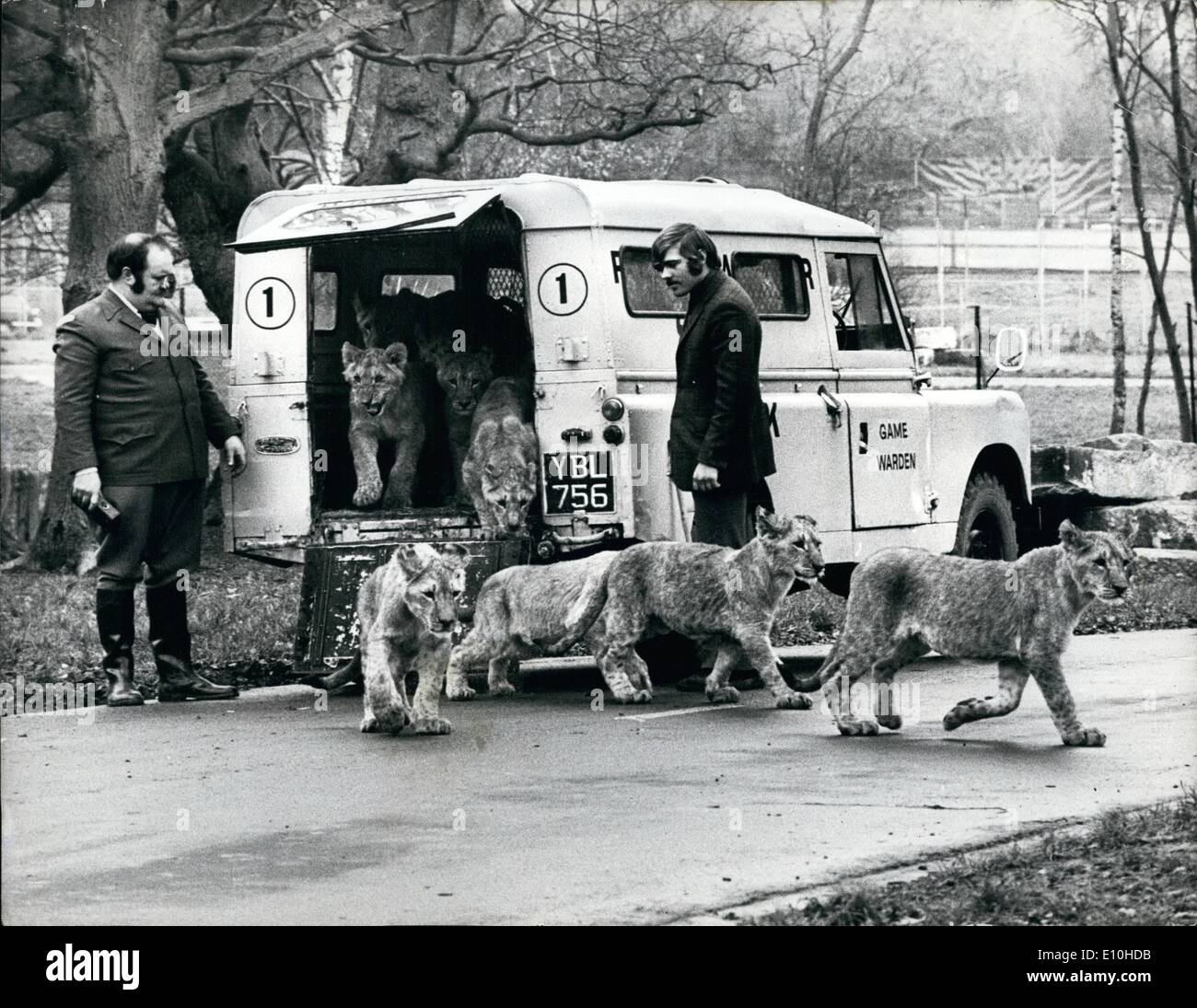 Feb. 02, 1973 - Exporting Lions to Africa: Windsor Safari Park ...