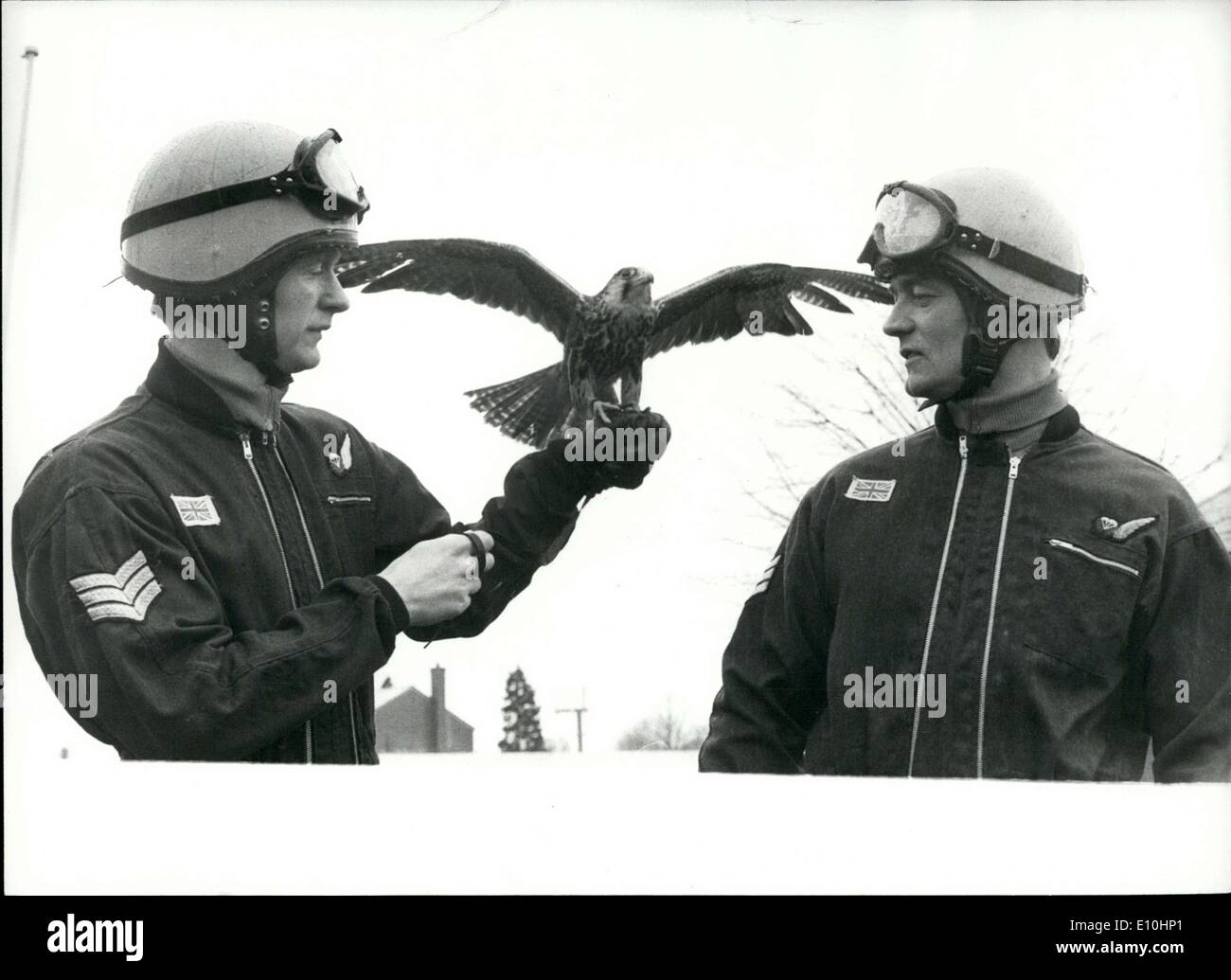 Feb. 13, 1973 - New Mascot for the Falcons: Sgt.D.Wreford (left) and ...