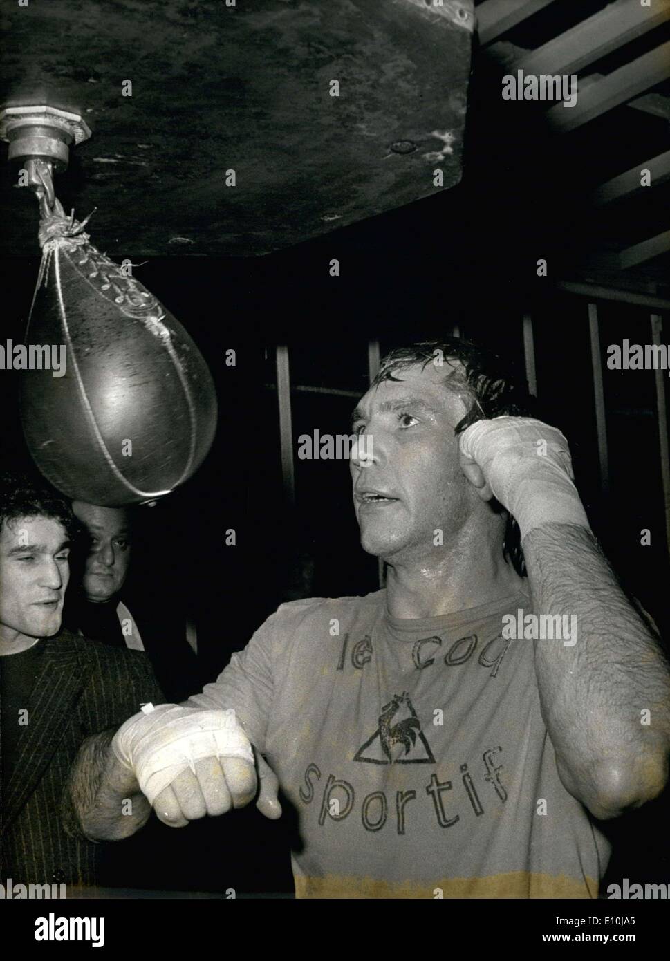 French boxer hi-res stock photography and images - Alamy