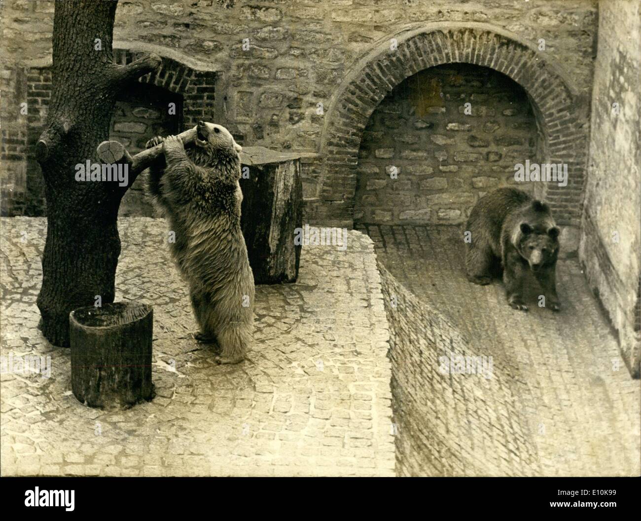 Mar. 28, 1973 - The New Bear Exhibit at the Garden of Plants Stock ...