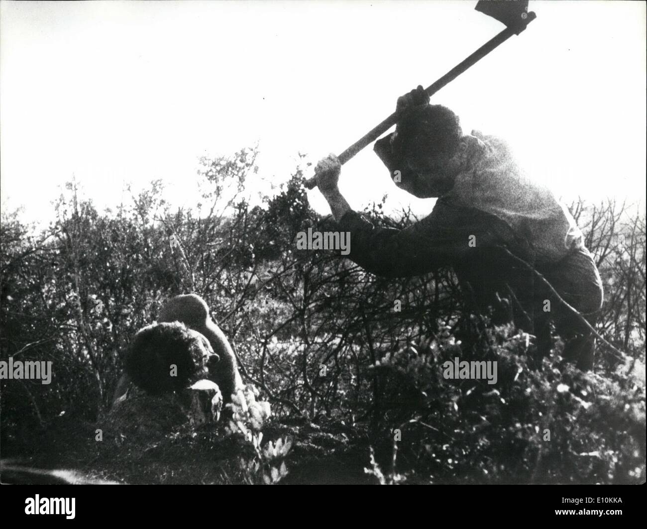 Frelimo soldiers hi-res stock photography and images - Alamy