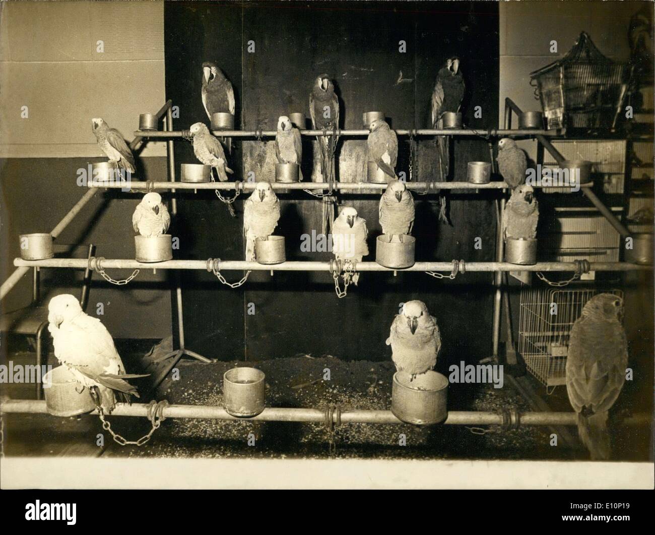 Chained hi-res stock photography and images - Alamy