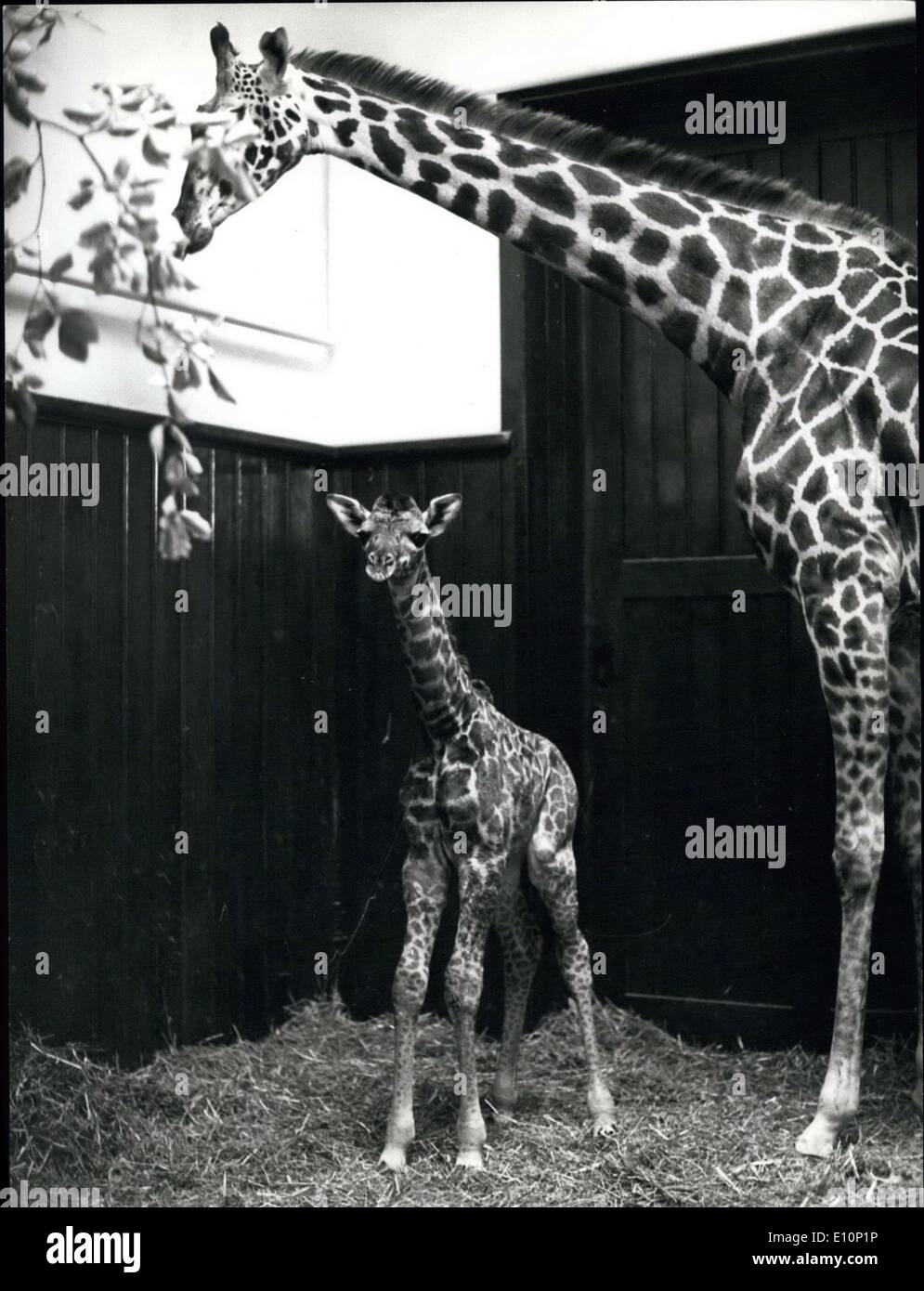 180 centimeters hi-res stock photography and images - Alamy