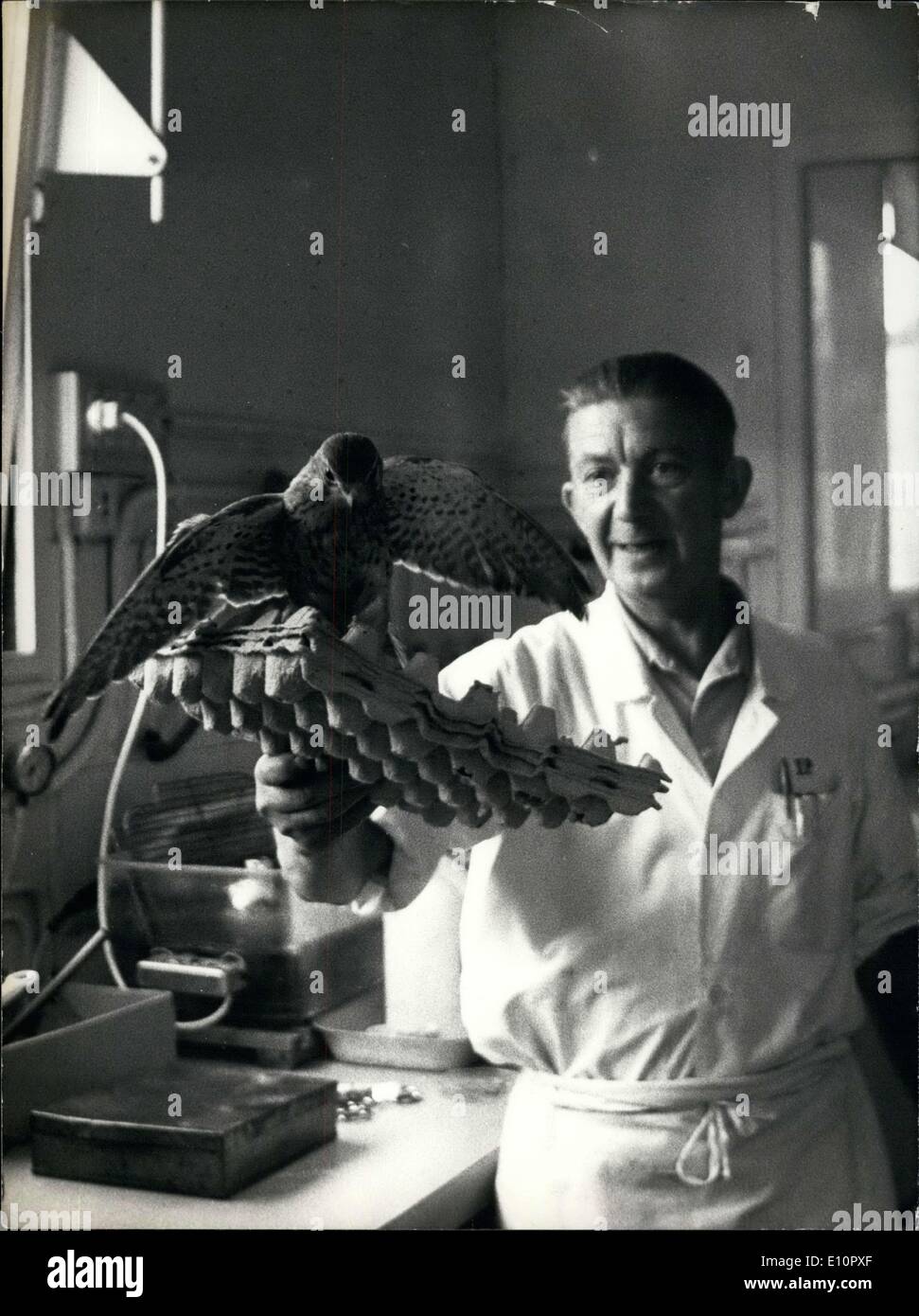 Sep. 28, 1973 - Man with Pasteur Institute Virus Lab Mascot Julien the ...