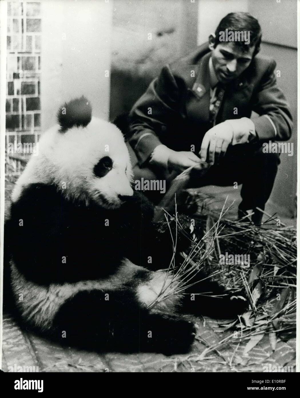 Panda china zoo arrive hi-res stock photography and images - Alamy