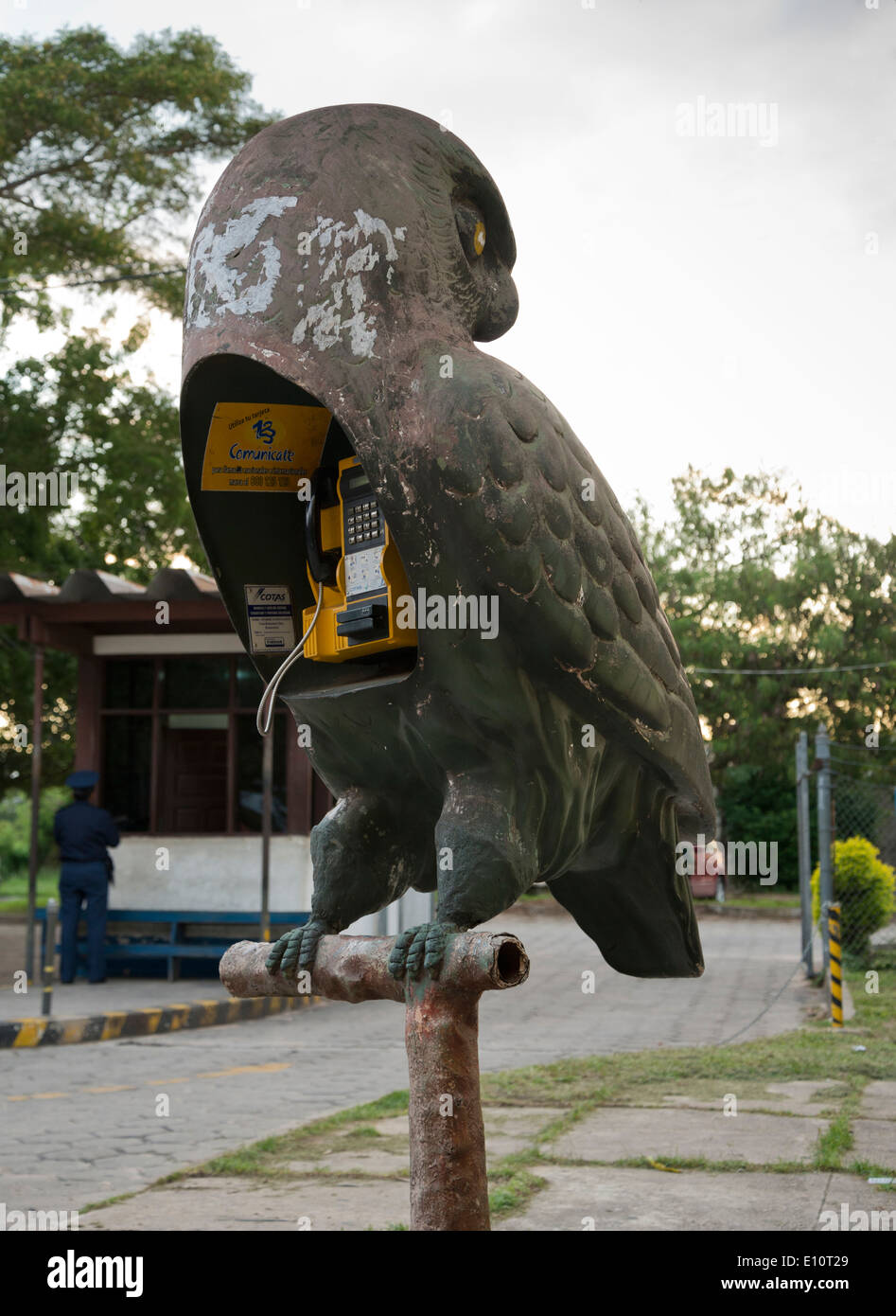Telephone Bird Call