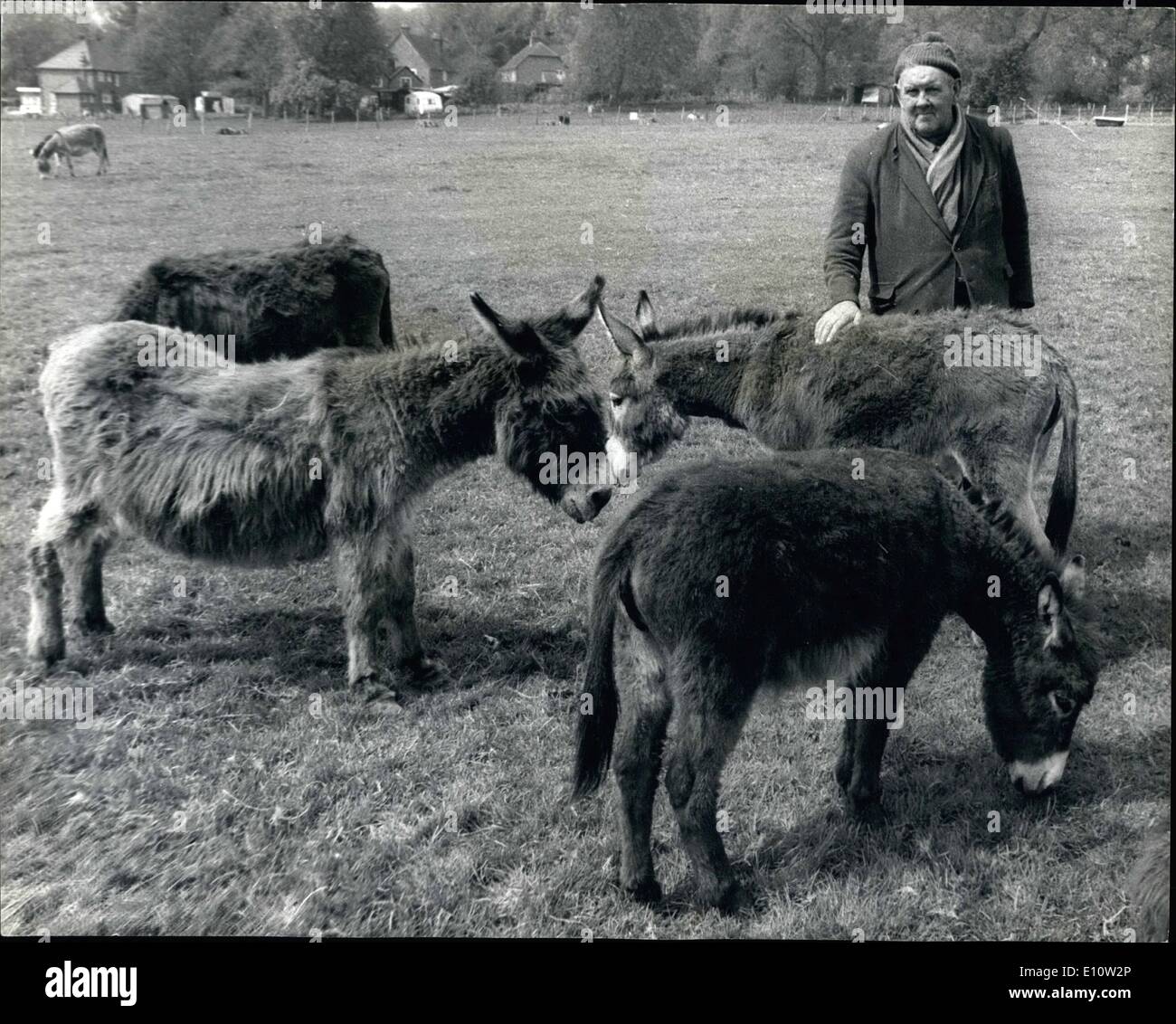 Apr. 04, 1974 - Capt. Mark Philip Could Face Cruelty Charge: Captain ...