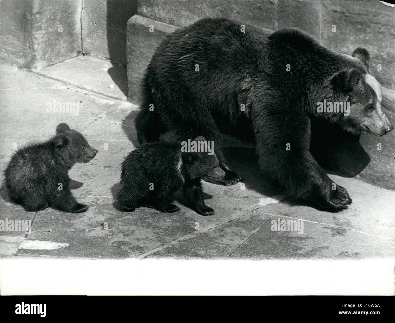 Apr. 04, 1974 - Little brown bears on their first open air performance ...