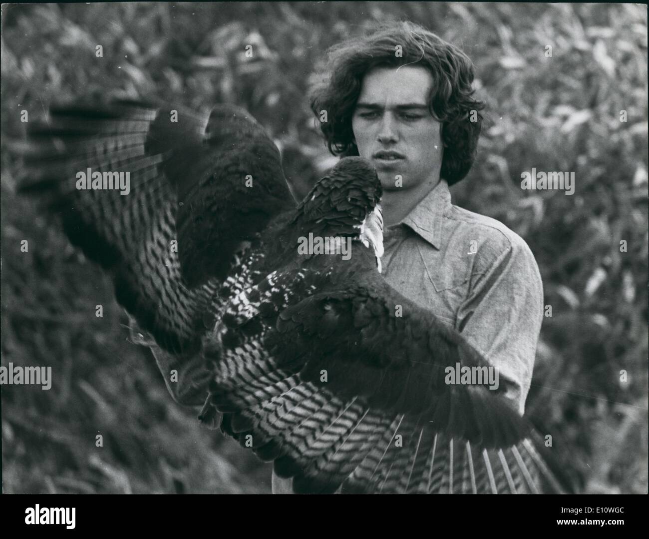 Jul. 07, 1974 - Bobby Kennedy in Africa after having studied the hawk ...