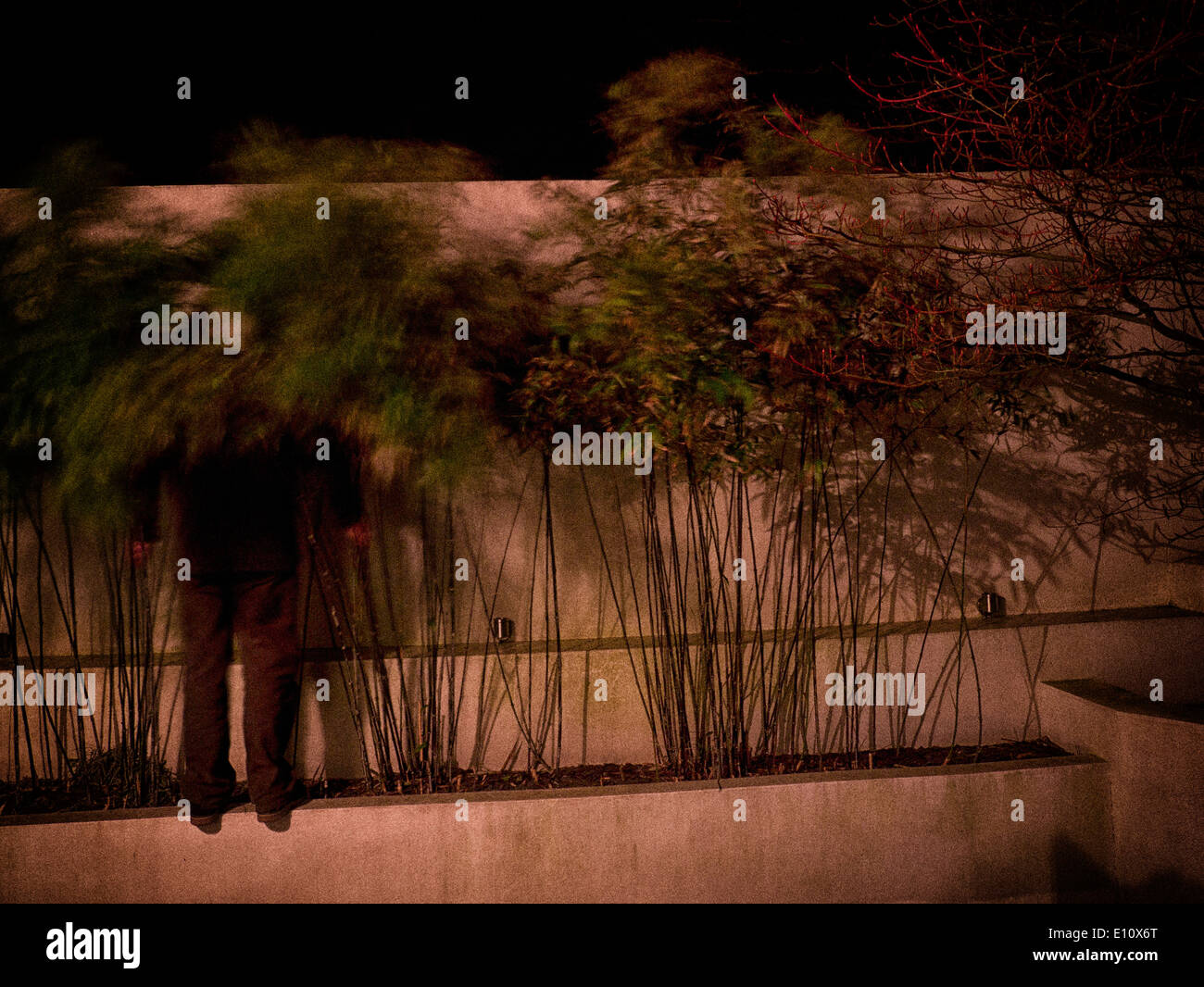 Man on a terrace at night Stock Photo - Alamy