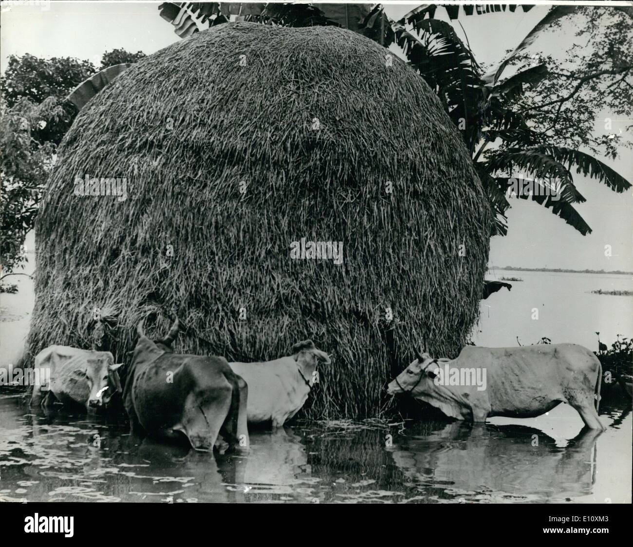Aug 08 1974 At Least 2 500 Die In Floods Disaster In Bangladesh And