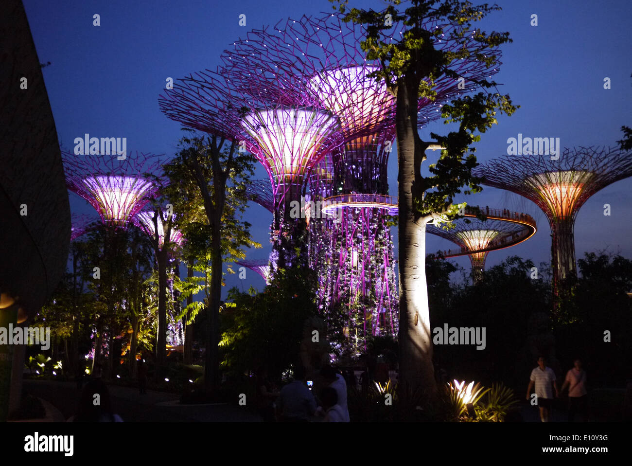 Marina Bay Sands, Singapore - March 20th 2014: The iconic Super Tree ...