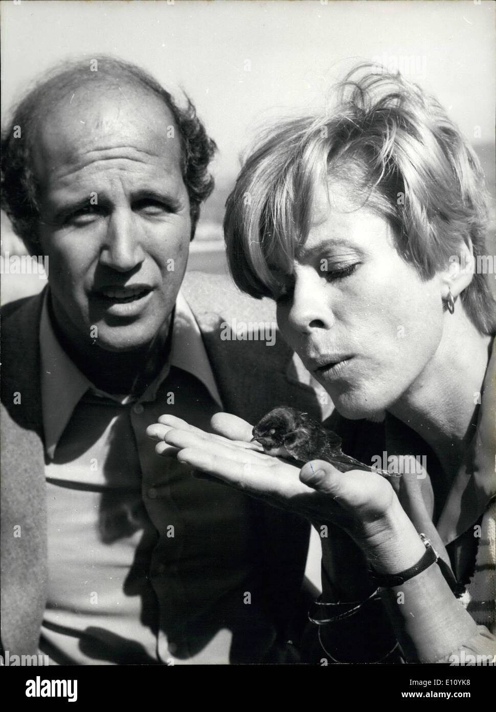 Bibi anderson her lat swallow hi-res stock photography and images - Alamy