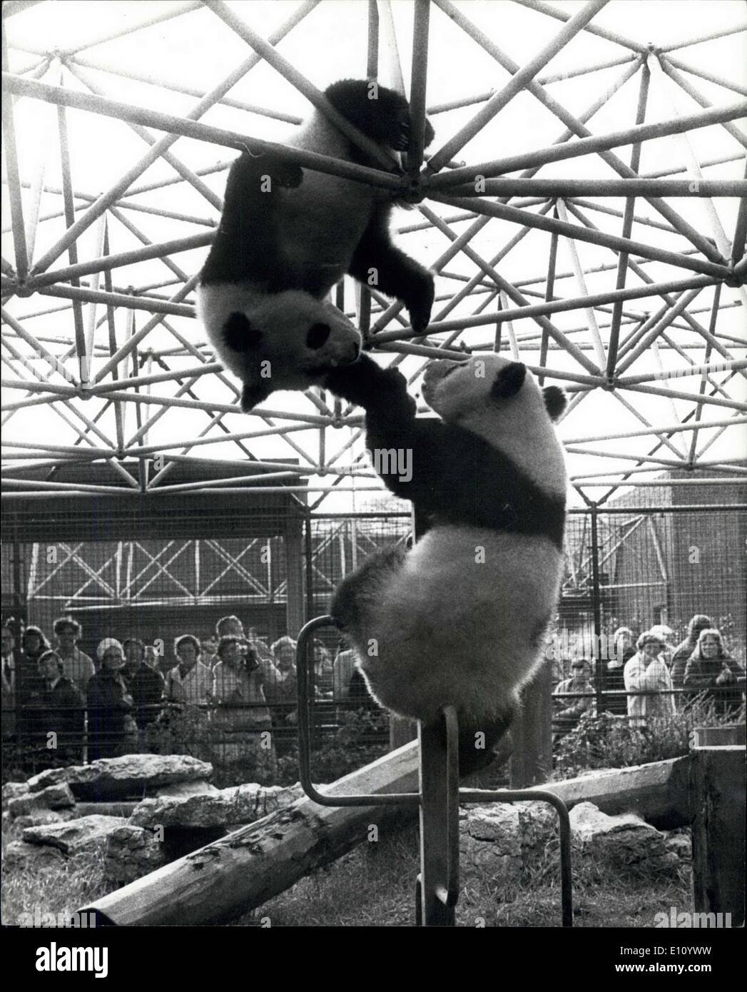 Oct. 14, 1974 - Fun And Games For Ching-Ching And Chia-Chia. Ching ...