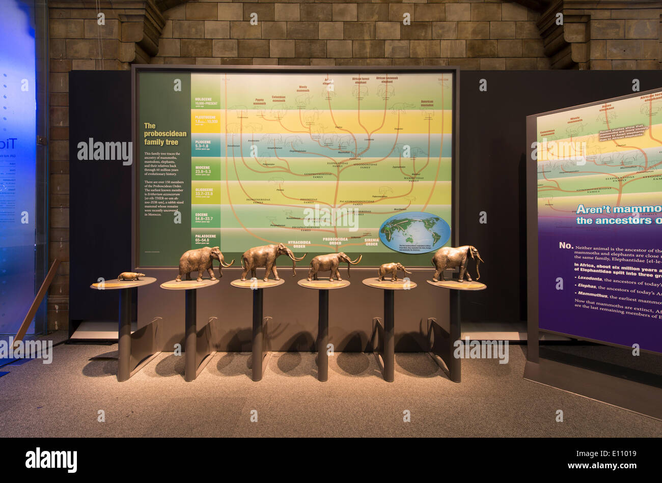 Natural History Museum, London UK. 21st May 2014. Press View. The ...