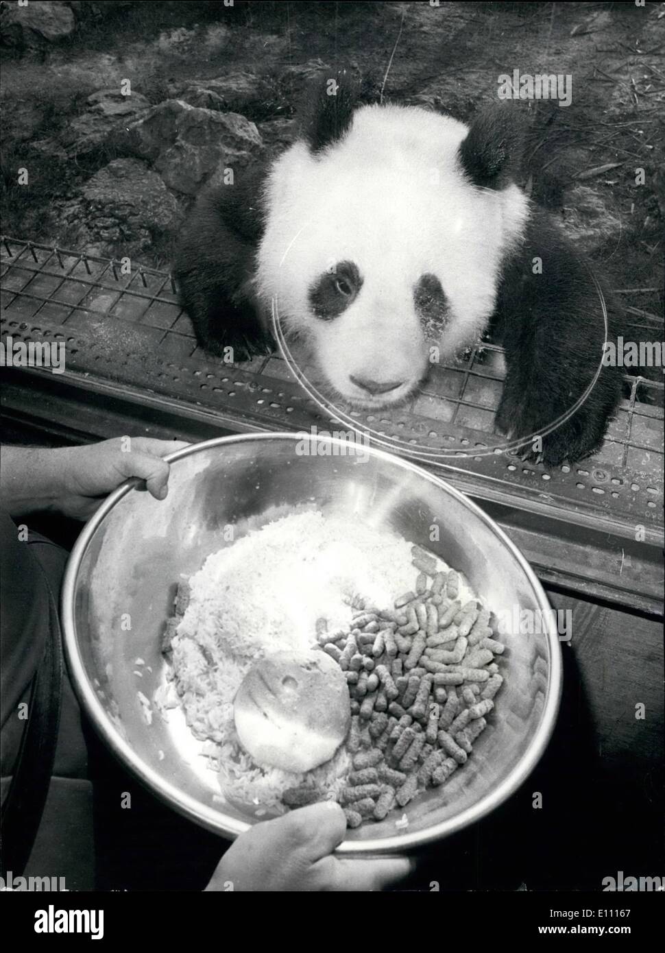 Dec. 12, 1974 - Egg Fu Ching Ching - 50P: Photo Shows Ching Ching, the ...