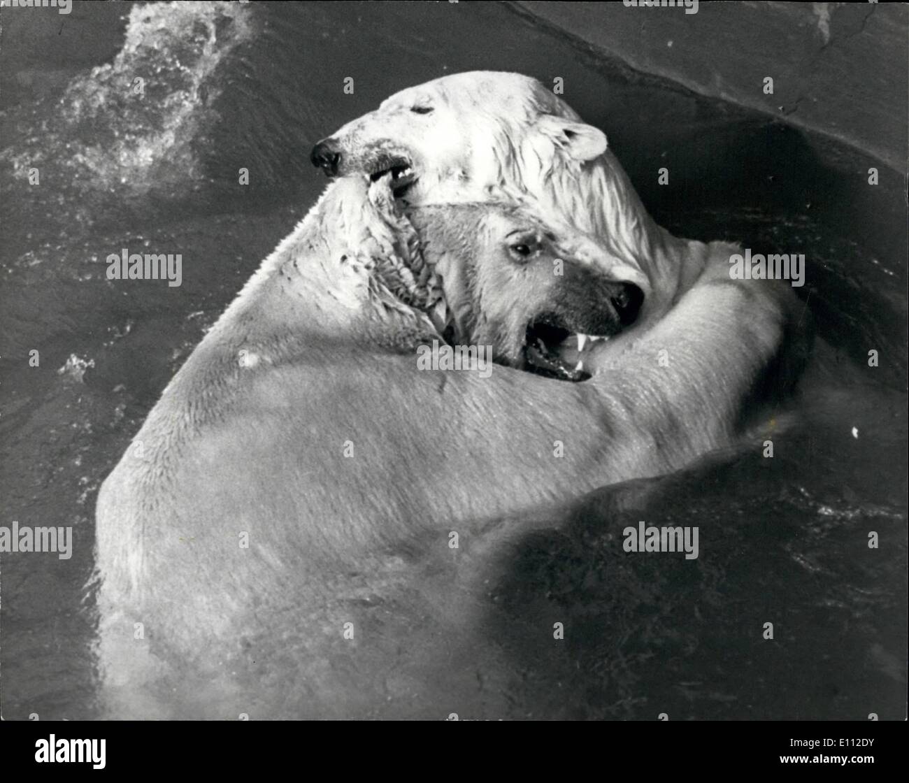 Pipaluk hi-res stock photography and images - Alamy