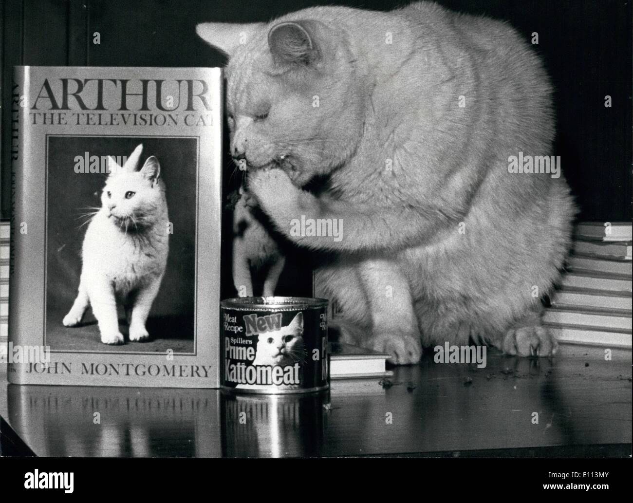 Morris The Cat Commercial