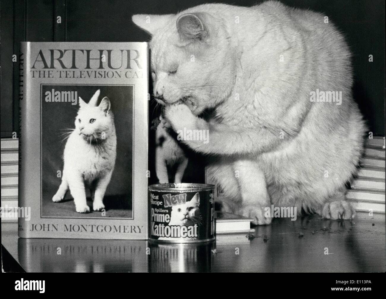 Oct. 10, 1975 - Arthur The Television Cat Publicizes A Book About The ...