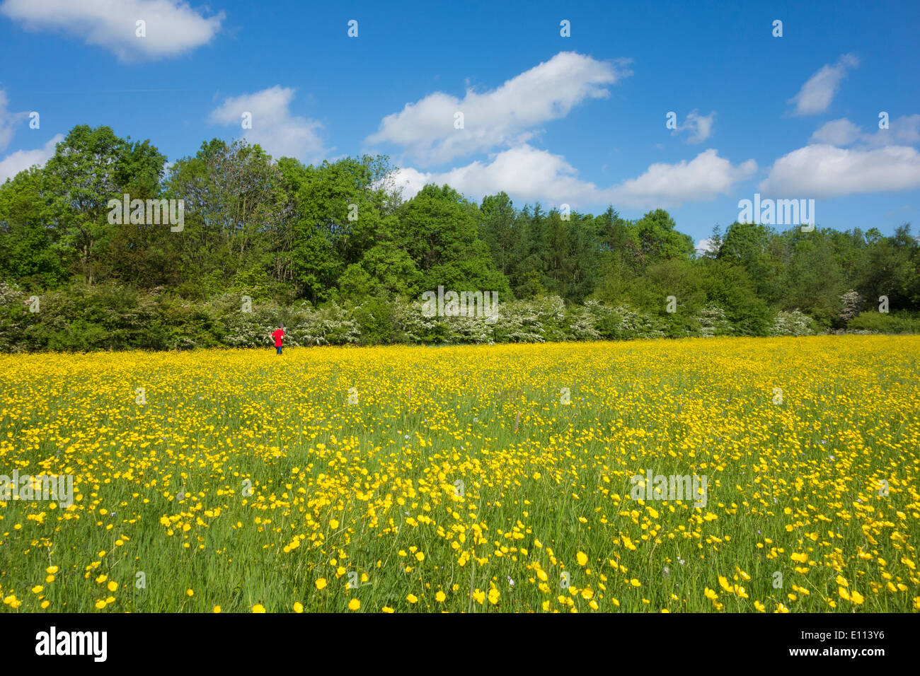 Billingham beck country park hi-res stock photography and images - Alamy