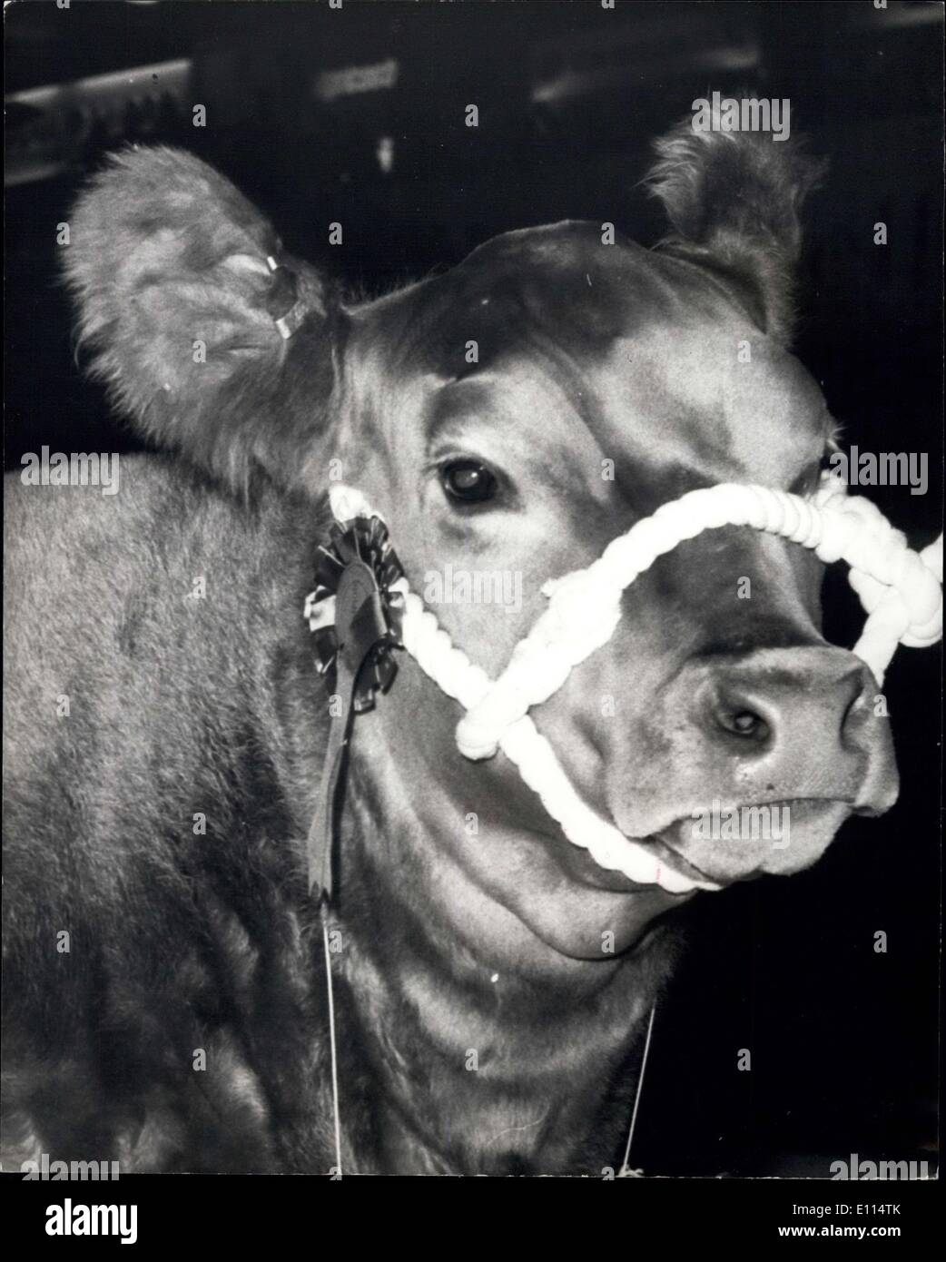 Angus mcmillan hi-res stock photography and images - Alamy