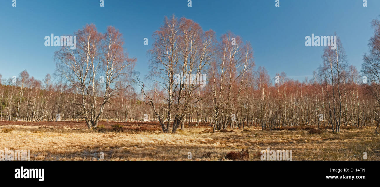Dulnain hi-res stock photography and images - Alamy