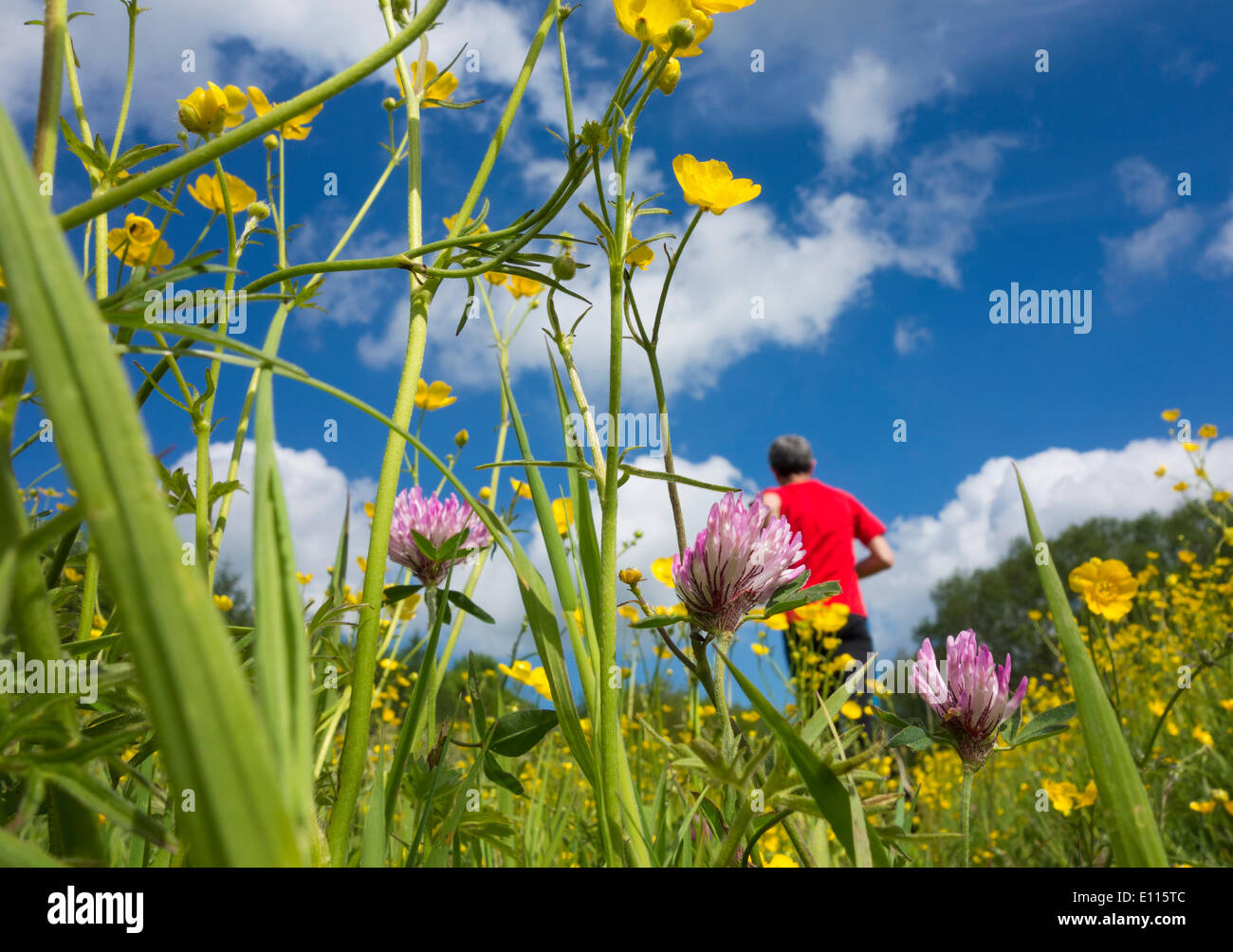 Billingham beck country park hi-res stock photography and images - Alamy