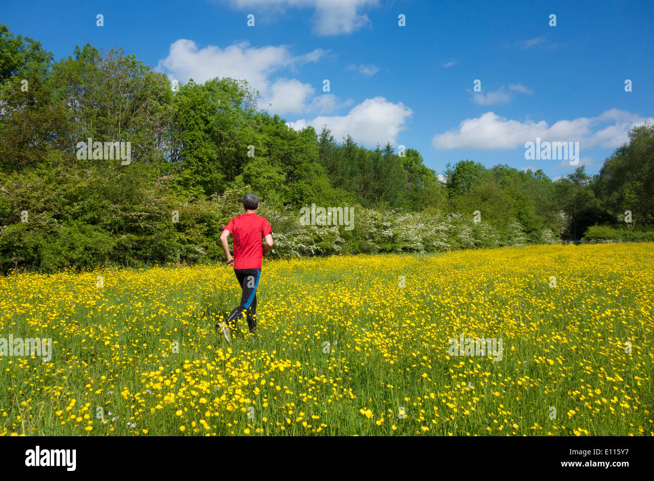 Billingham beck country park hi-res stock photography and images - Alamy