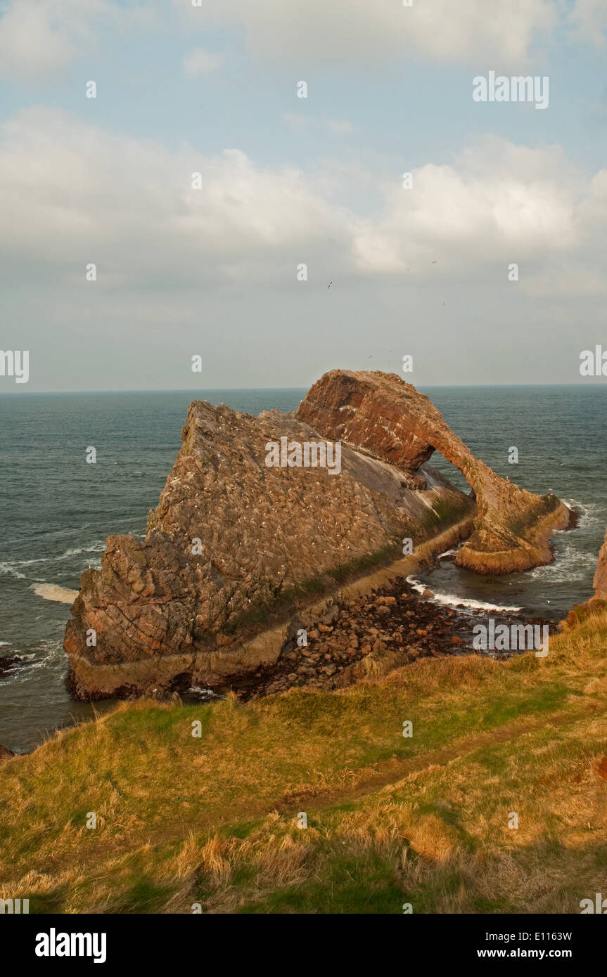 Bow Fiddle Rock Stock Photo - Alamy