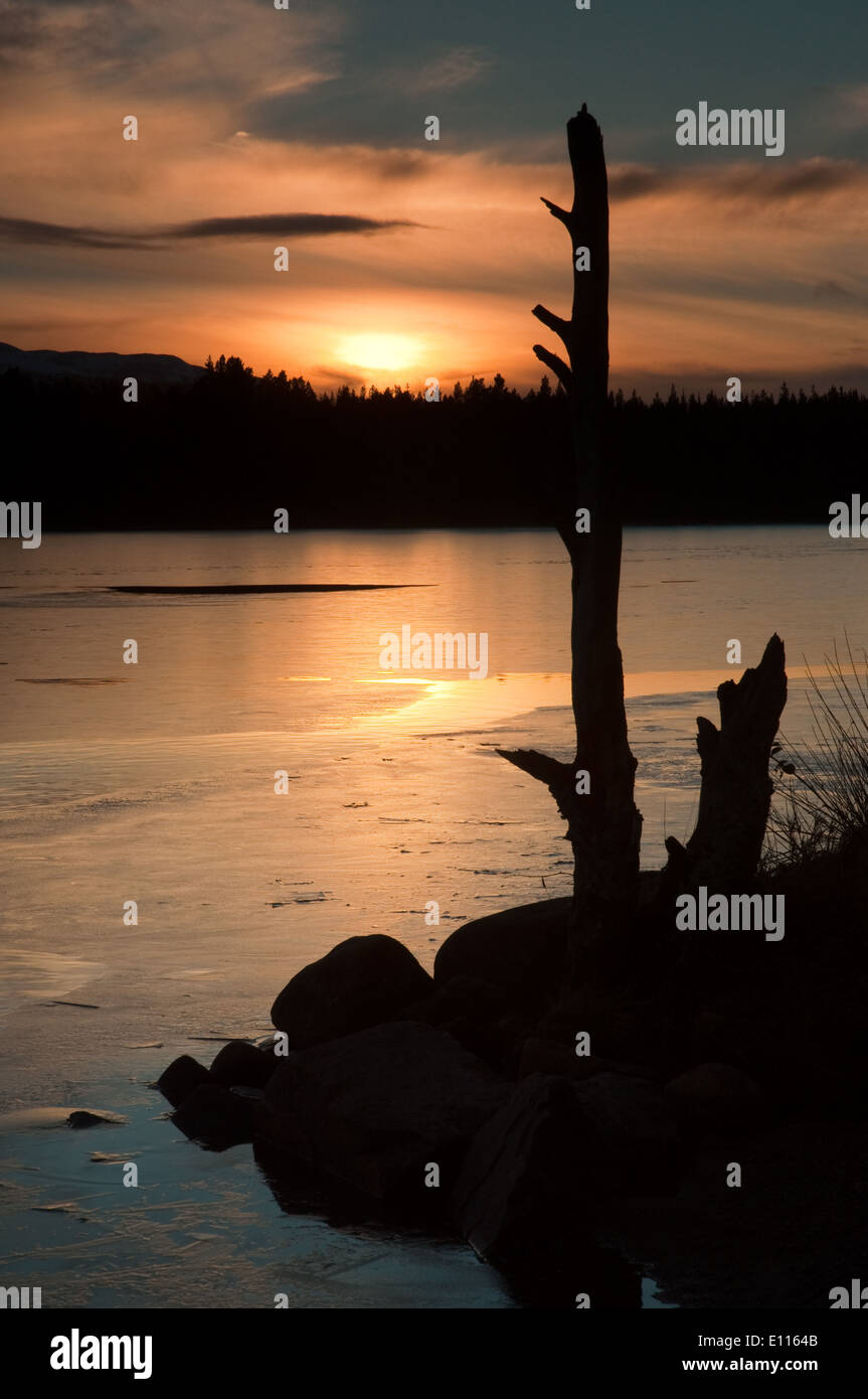 Winter Sunset over Loch Morlich Stock Photo - Alamy