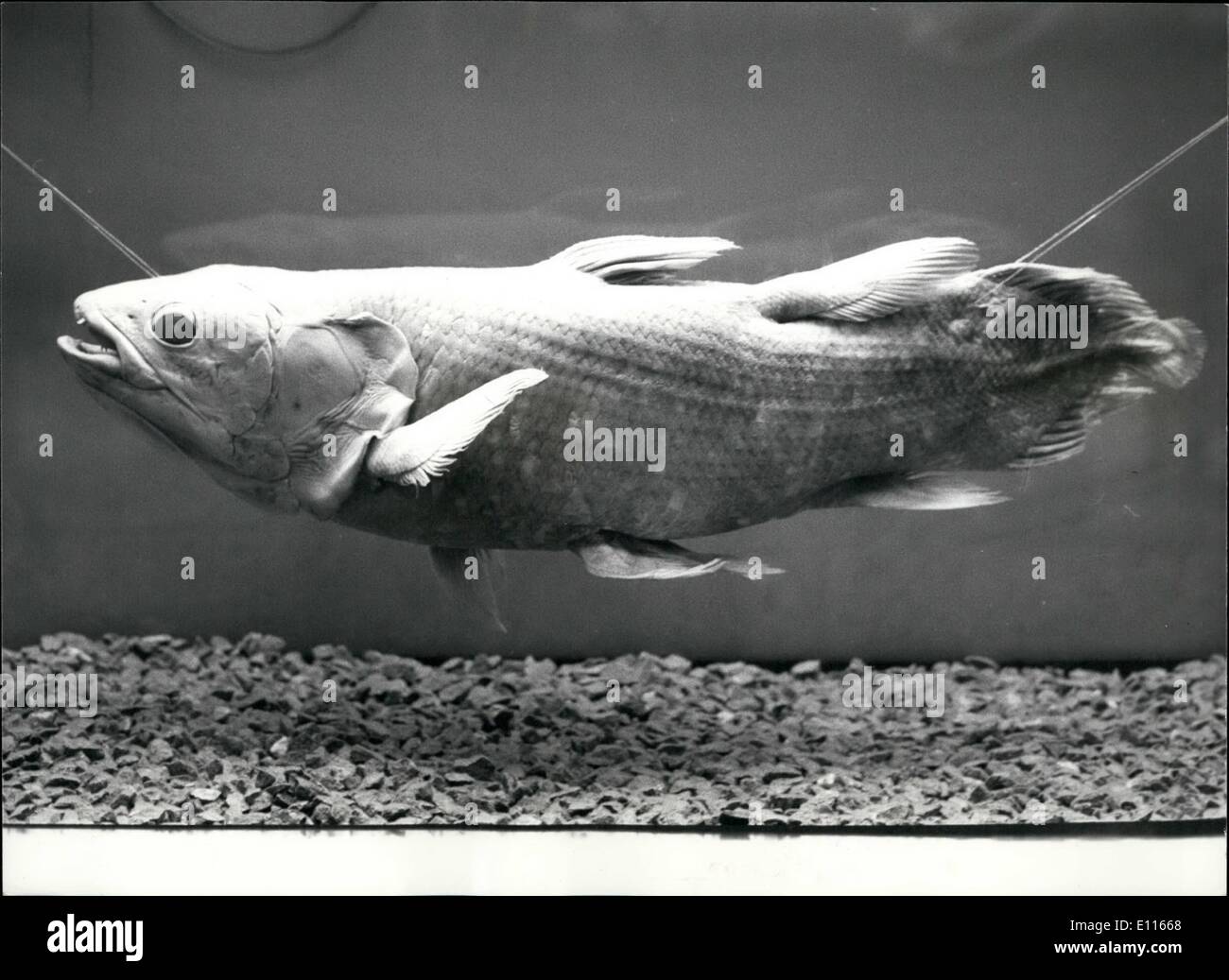 External fertilization hi-res stock photography and images - Alamy