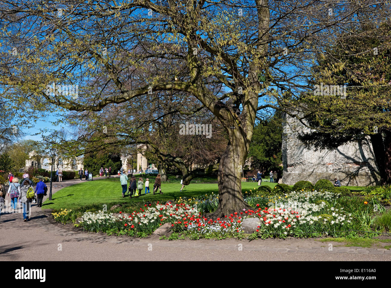 People tourists visitors walking in the park in spring springtime The ...