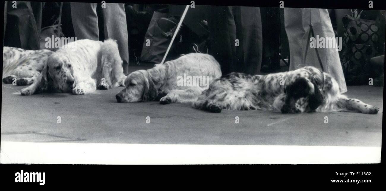 Feb. 02, 1976 - Cruft's Dog Show At Olympia We Can Wait!: Photo shows ...