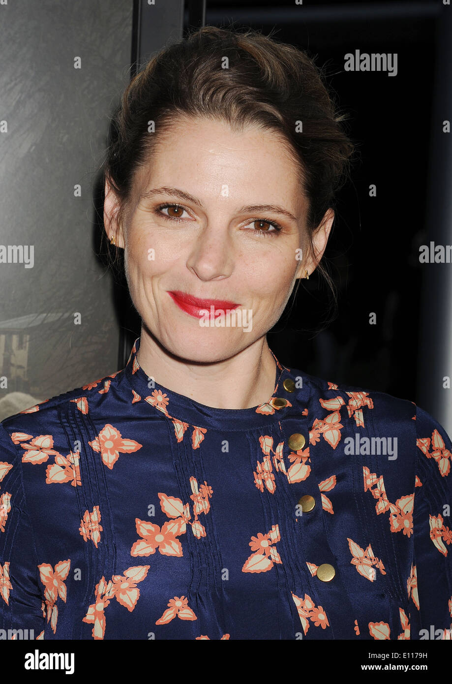 AMY SEIMETZ US film actress in May 2014. Photo Jeffrey Mayer Stock ...
