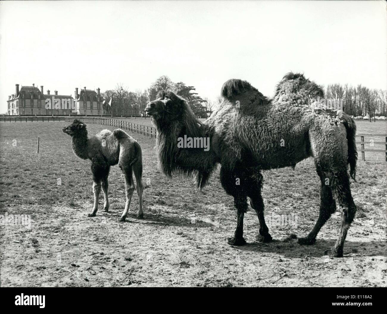 Khadar hi-res stock photography and images - Alamy