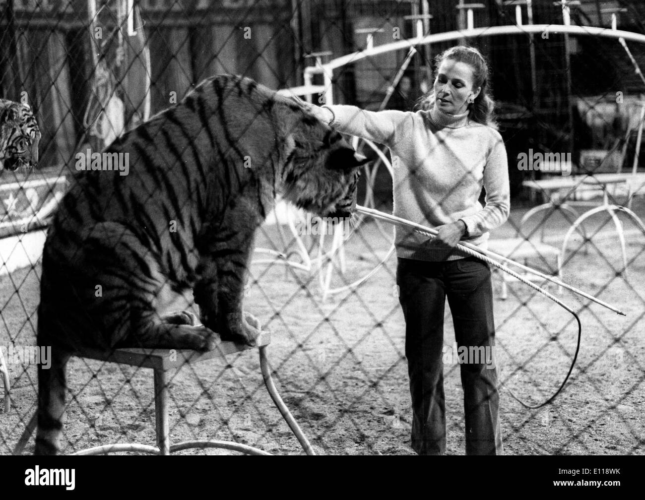 Mary Chipperfield High Resolution Stock Photography and Images - Alamy