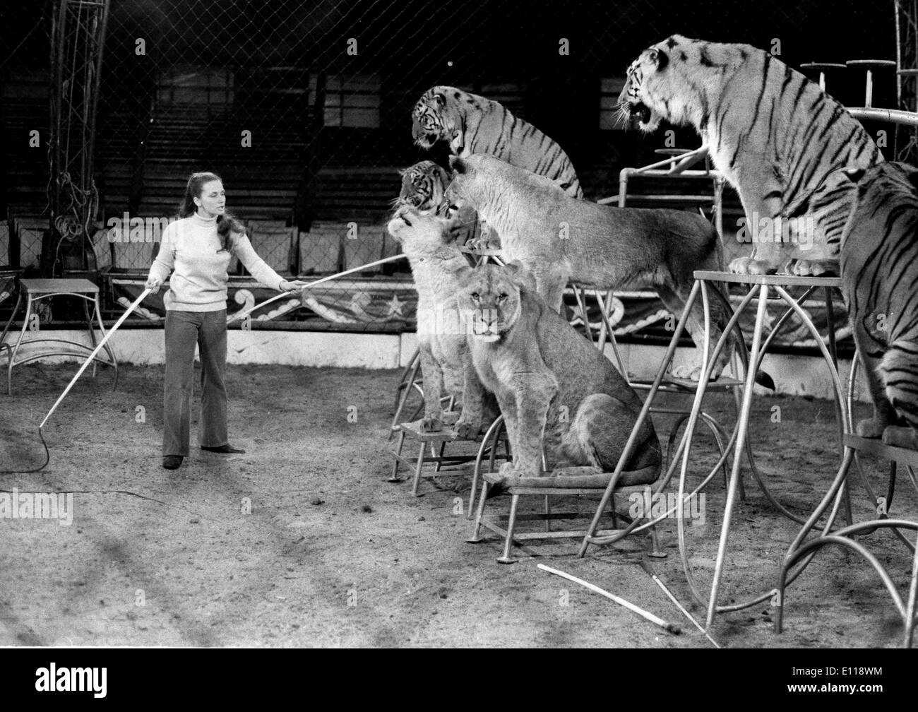 Mary Chipperfield High Resolution Stock Photography and Images - Alamy