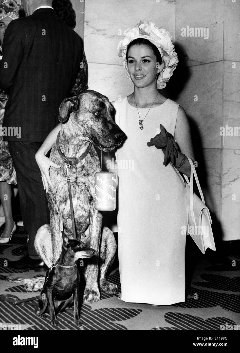 Chittenden hi-res stock photography and images - Alamy